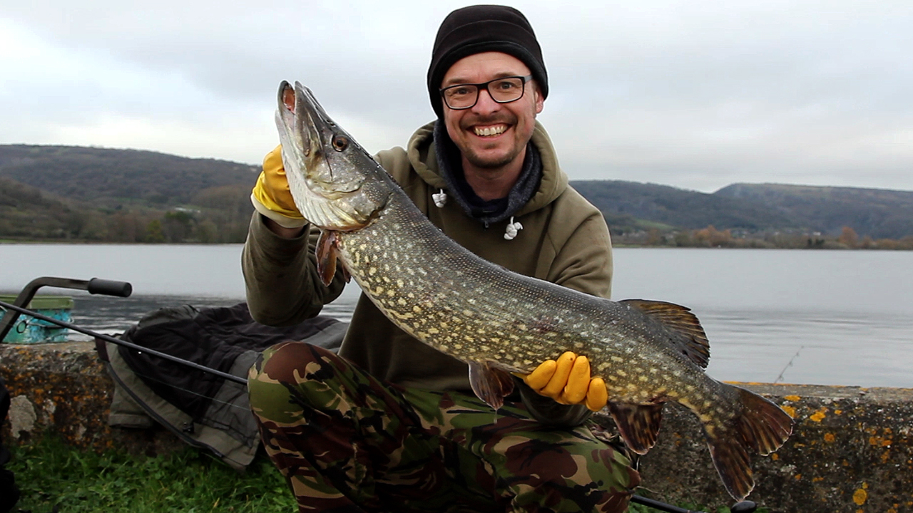 pike fishing at cheddar reservoir | jake williamson's blog